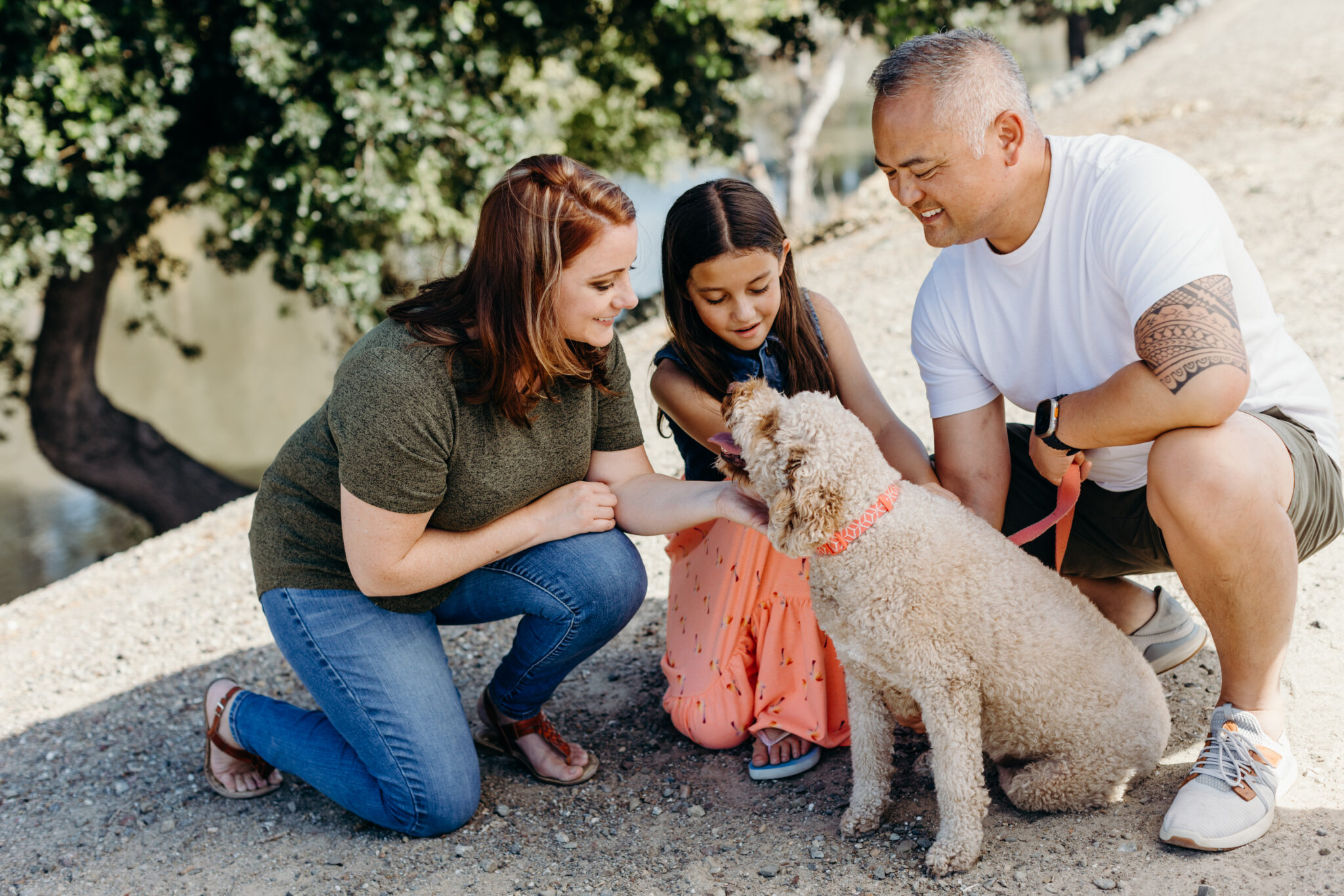 A Look Inside Stanford Crossing — Diverse Homes to Suit Your Lifestyle ...